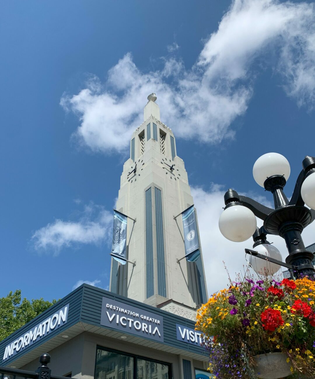 Home - prodigywindowsolutions.ca